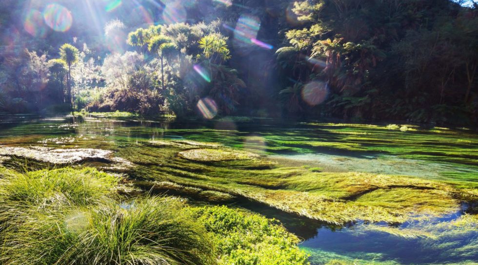 Matamata Longlands | Freedom Lifestyle Villages